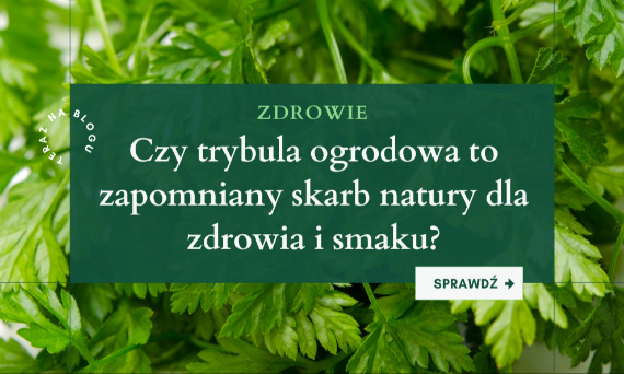Trybula ogrodowa – dawniej niezastąpiona, dziś niedoceniana, poznaj jej ...